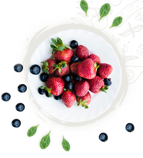 Yiguo Foods(Qingdao) CO., ltd – FD Fruits | FD Vegetables